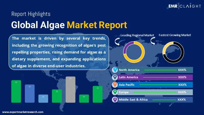 Algae Market Size, Share, Growth, Price, Analysis 2025-2034