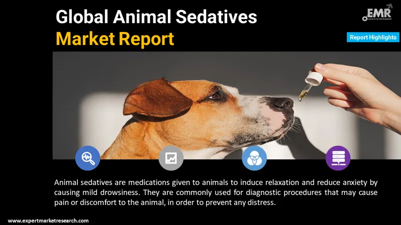 Animal Sedatives Market Size, Share | Growth & Forecast 2034