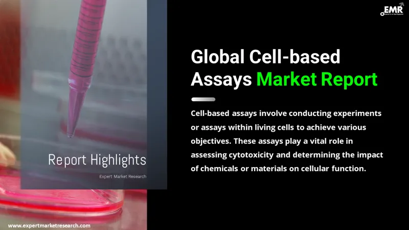 Cell-Based Assays Market Size, Share, Industry, Report 2034