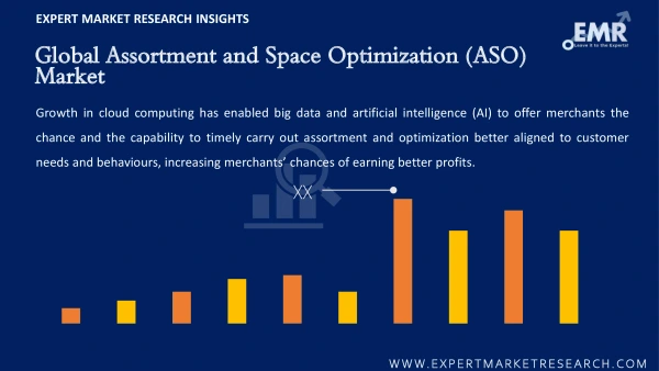 Assortment and Space Optimisation (ASO) Market 2025-2034