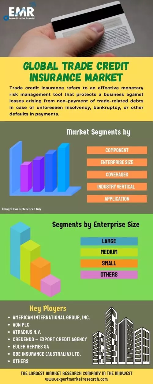 What type of insurance is credit insurance? Leia aqui: What is credit ...