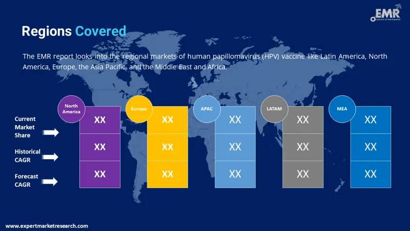 Human Papillomavirus Hpv Vaccine Market Share 2024 2032 6094